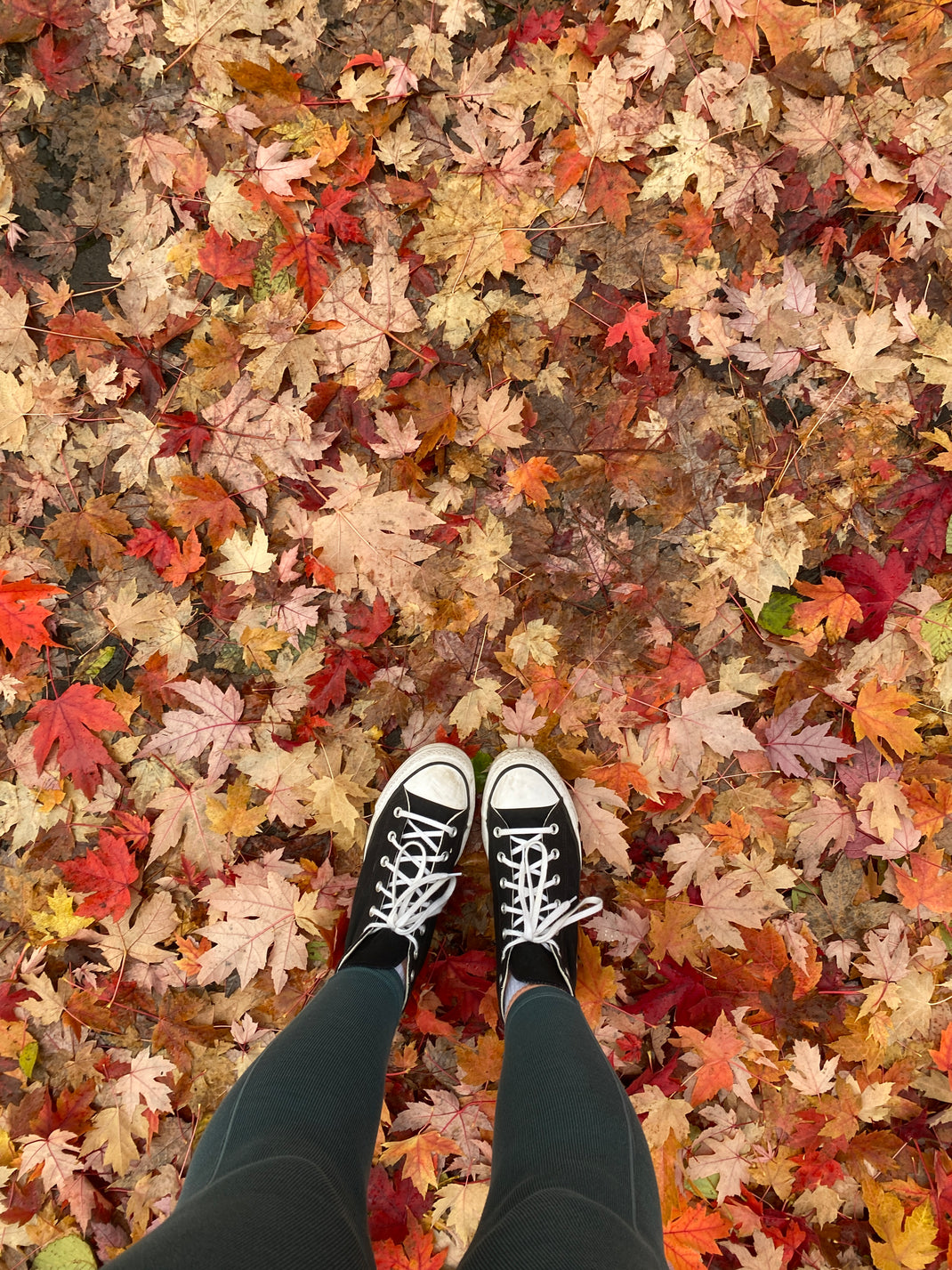 Canada – Guess Where Trips®